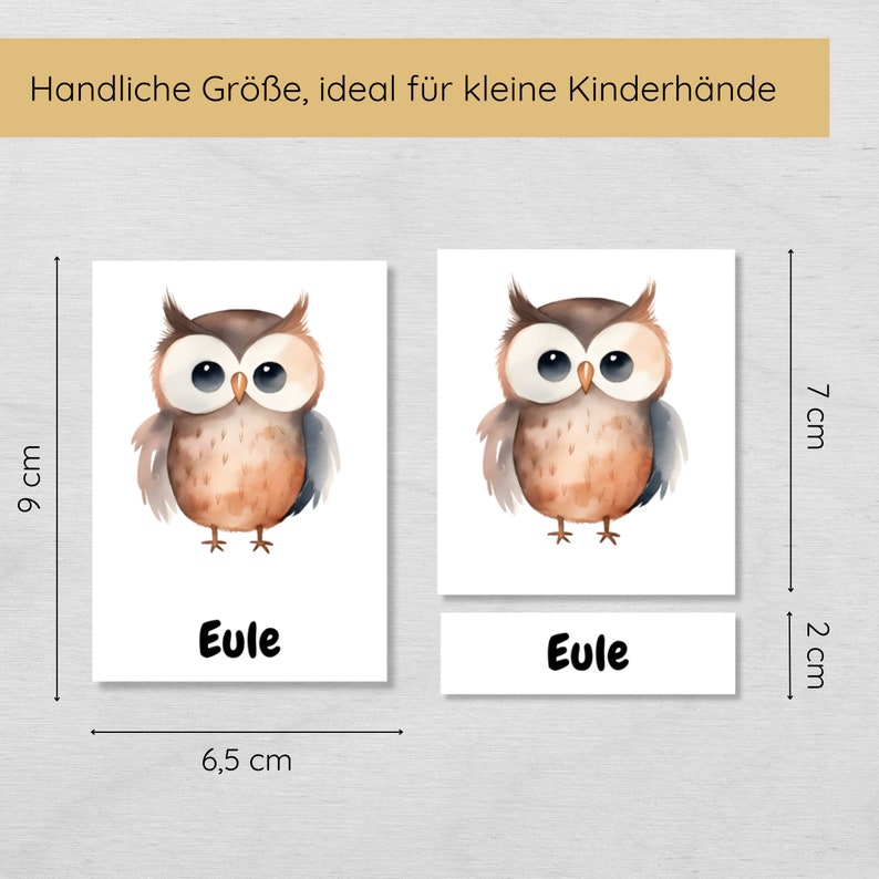 15 Learning Cards With Cute Forest Animals, Three-part Picture Cards ...