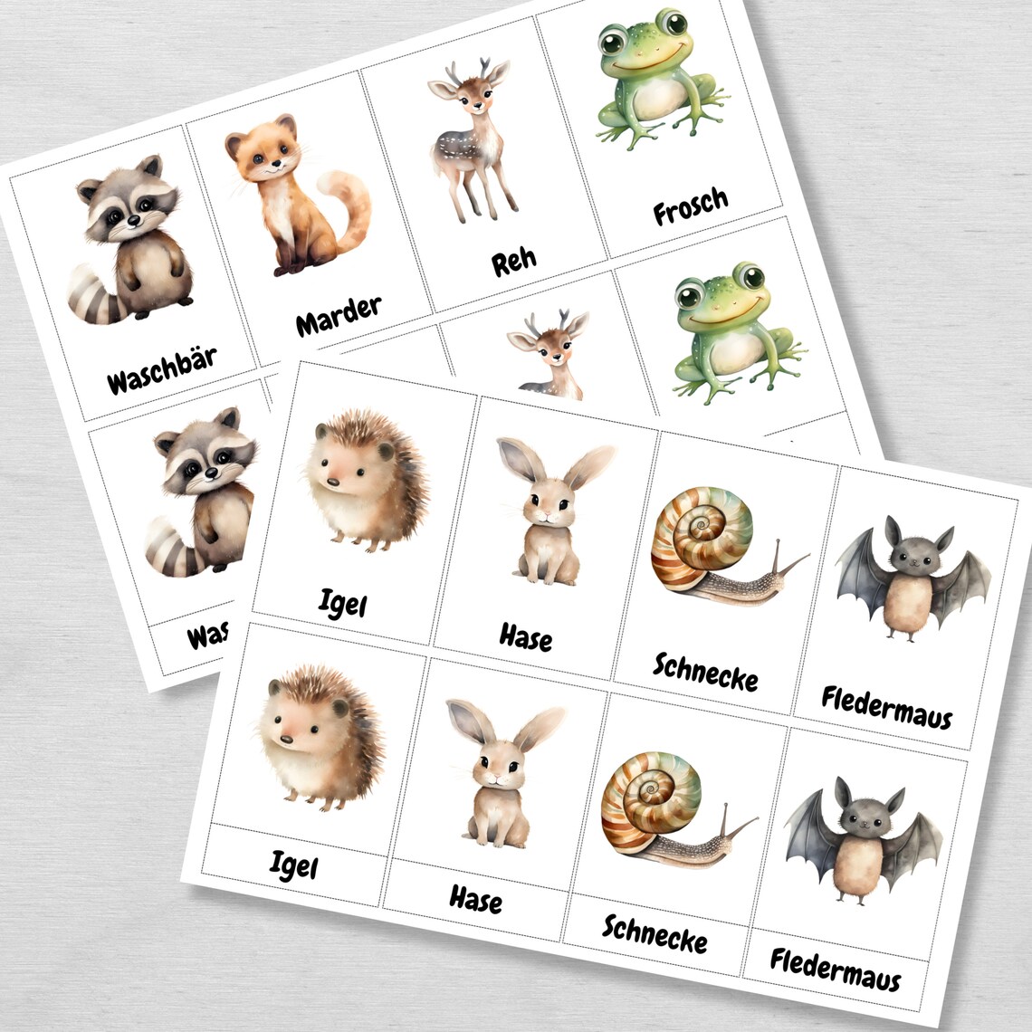15 Learning Cards With Cute Forest Animals, Three-part Picture Cards ...