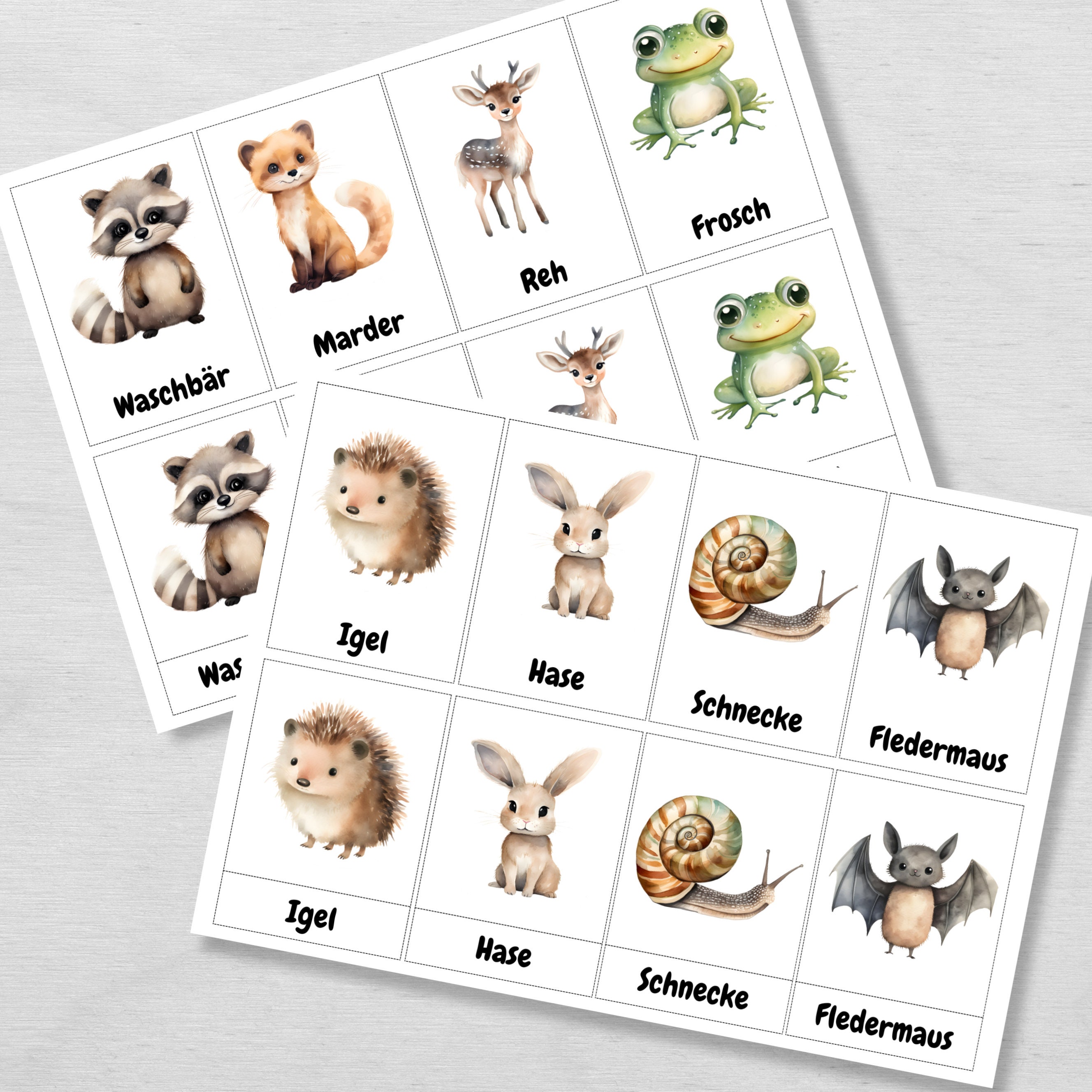 15 Learning Cards With Cute Forest Animals, Three-part Picture Cards ...