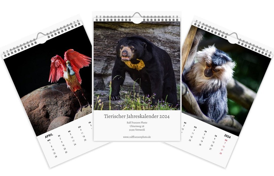 Animal Annual Calendar Photo Calendar Wall Calendar 2024, DIN A4 - Etsy
