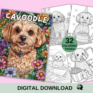 32 Cavoodle Coloring Pages for Adults and Kids, Printable Coloring Book ...