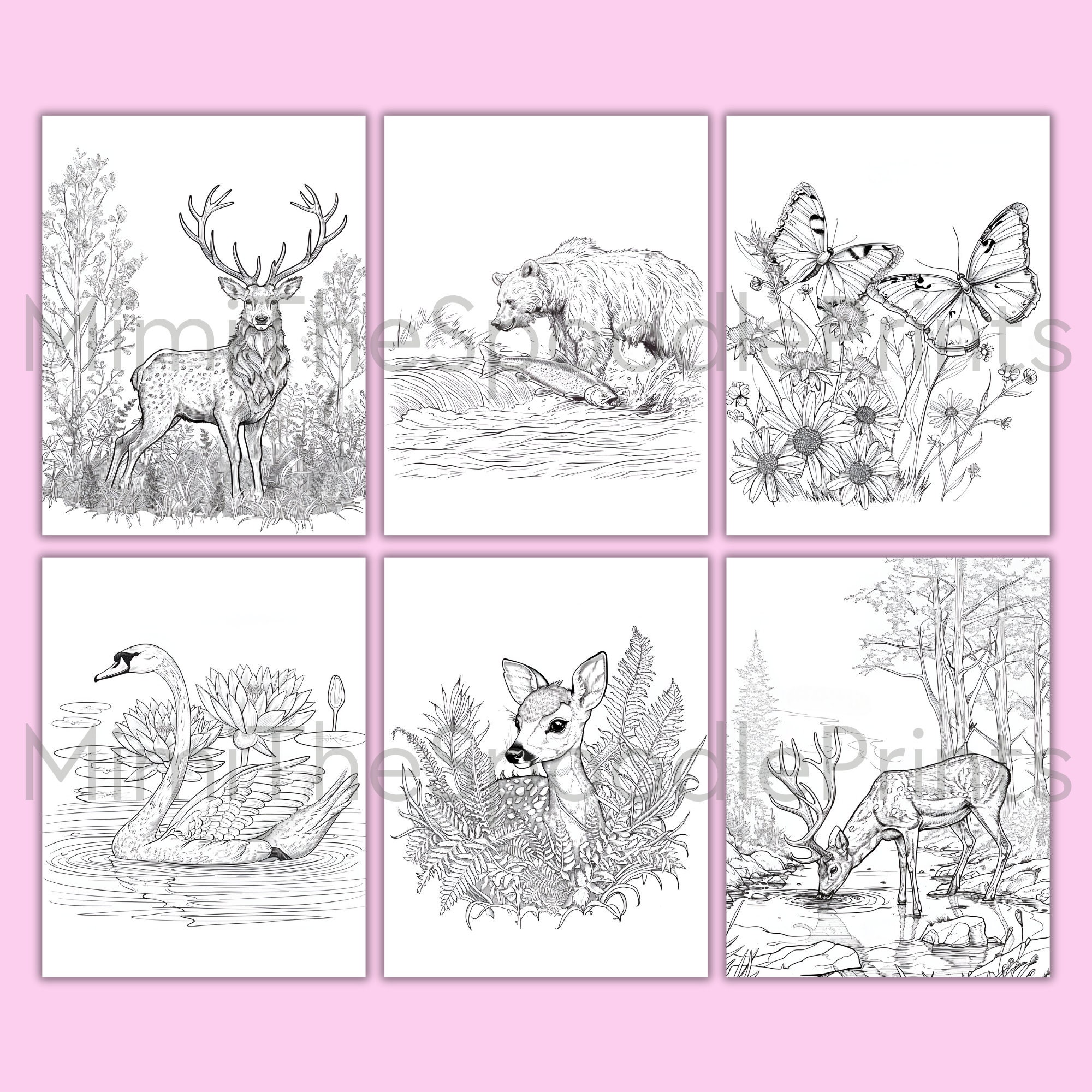 24 Forest Friends Coloring Pages, for Kids and Adults, Printable ...