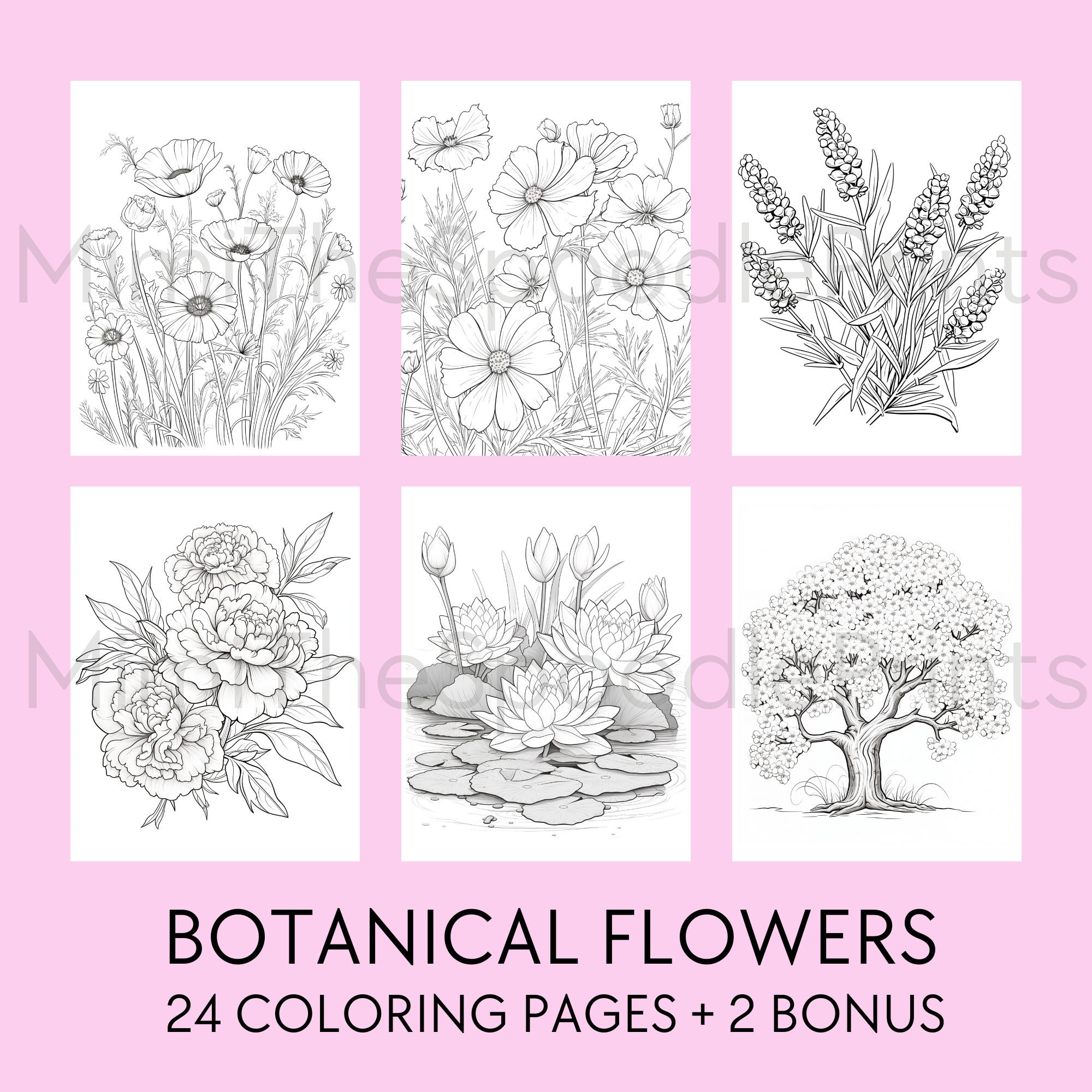 24 Botanical Flowers Coloring Pages, for Adults, Printable Coloring ...