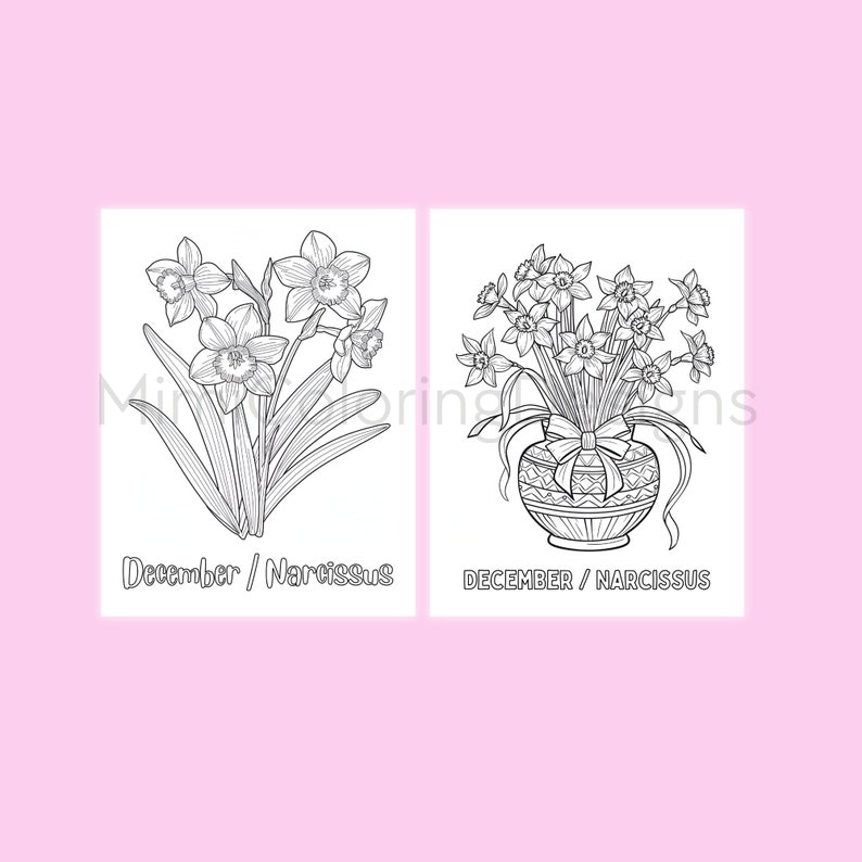 Birth Month Flowers Coloring Pages: 26 Floral Designs (digital Download ...