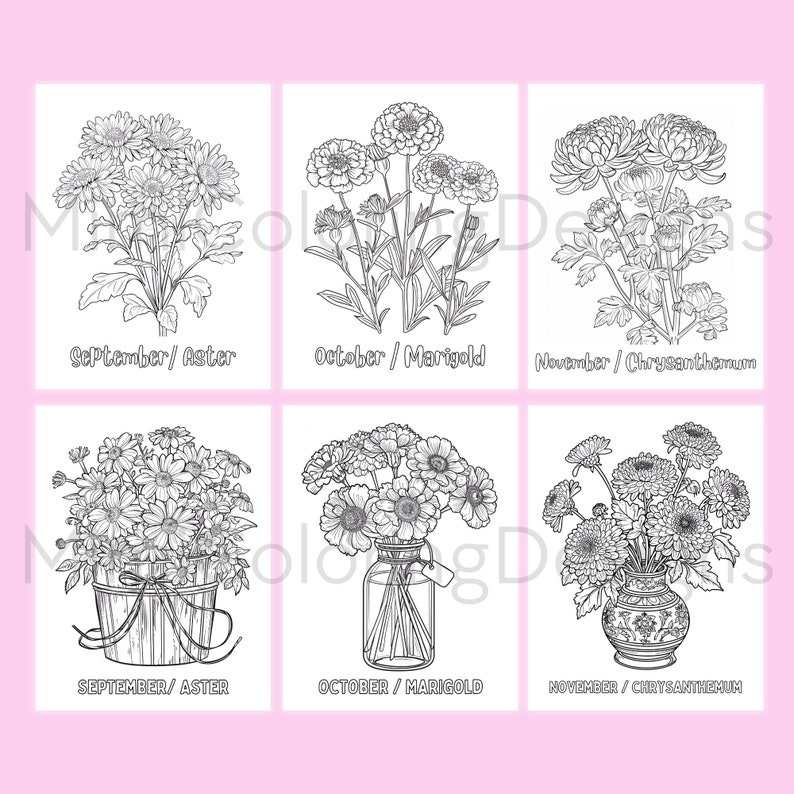 Birth Month Flowers Coloring Pages: 26 Floral Designs (digital Download ...