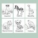 24 Safari Animals Coloring Pages, for Kids, Toddler, Printable Coloring ...