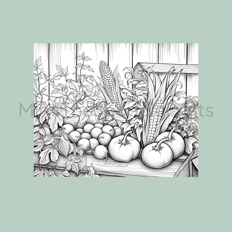 4 Vegetable Garden Coloring Pages, for Adults, Garden Coloring, Digital ...