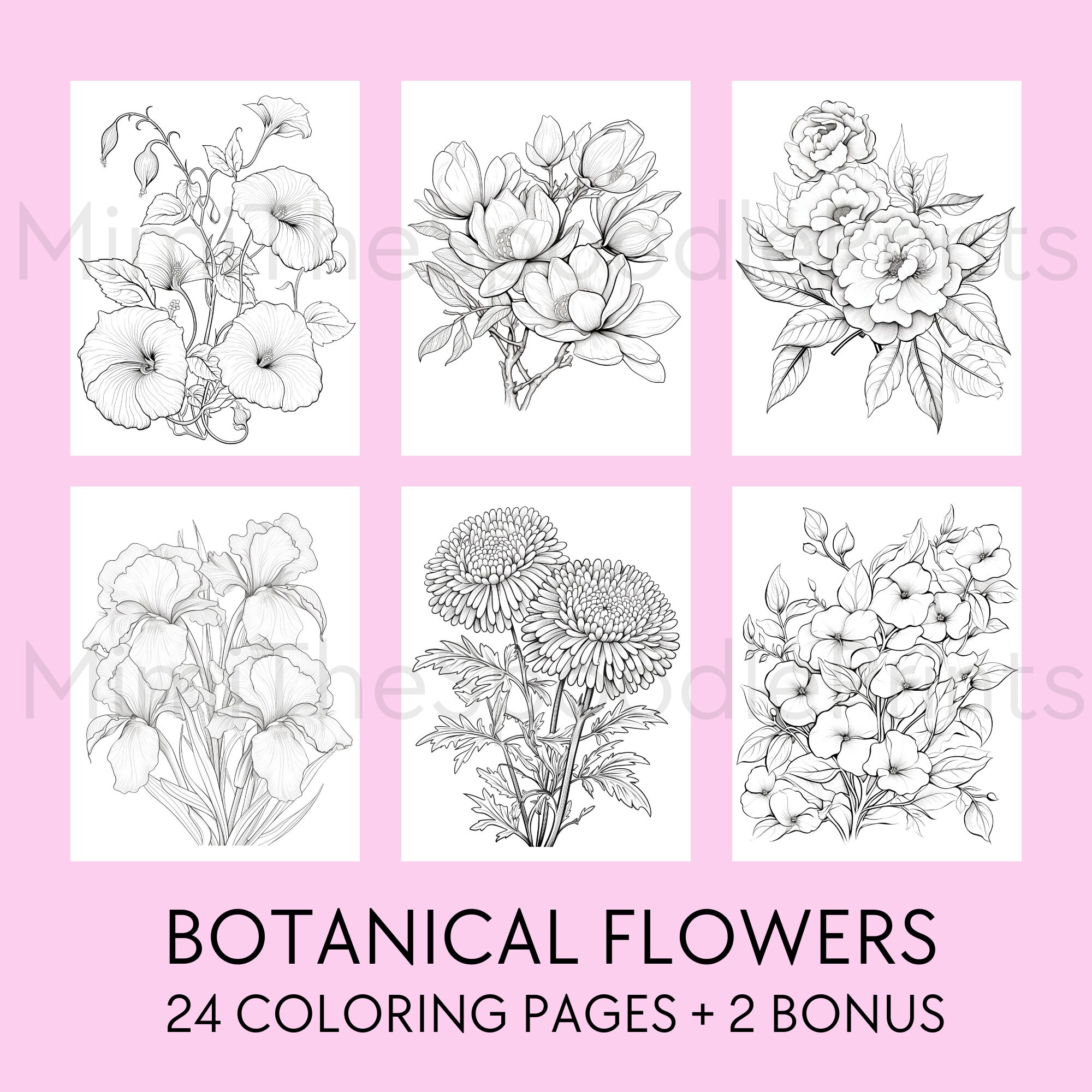 24 Botanical Flowers Coloring Pages, for Adults, Printable Coloring ...