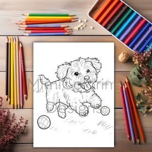 32 Cavoodle Coloring Pages for Adults and Kids, Printable Coloring Book ...