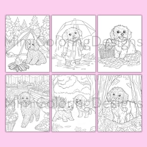 32 Cavoodle Coloring Pages for Adults and Kids, Printable Coloring Book ...