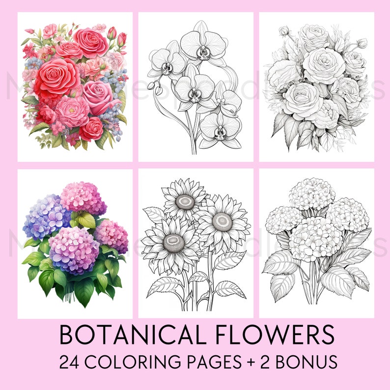 24 Botanical Flowers Coloring Pages, for Adults, Printable Coloring ...