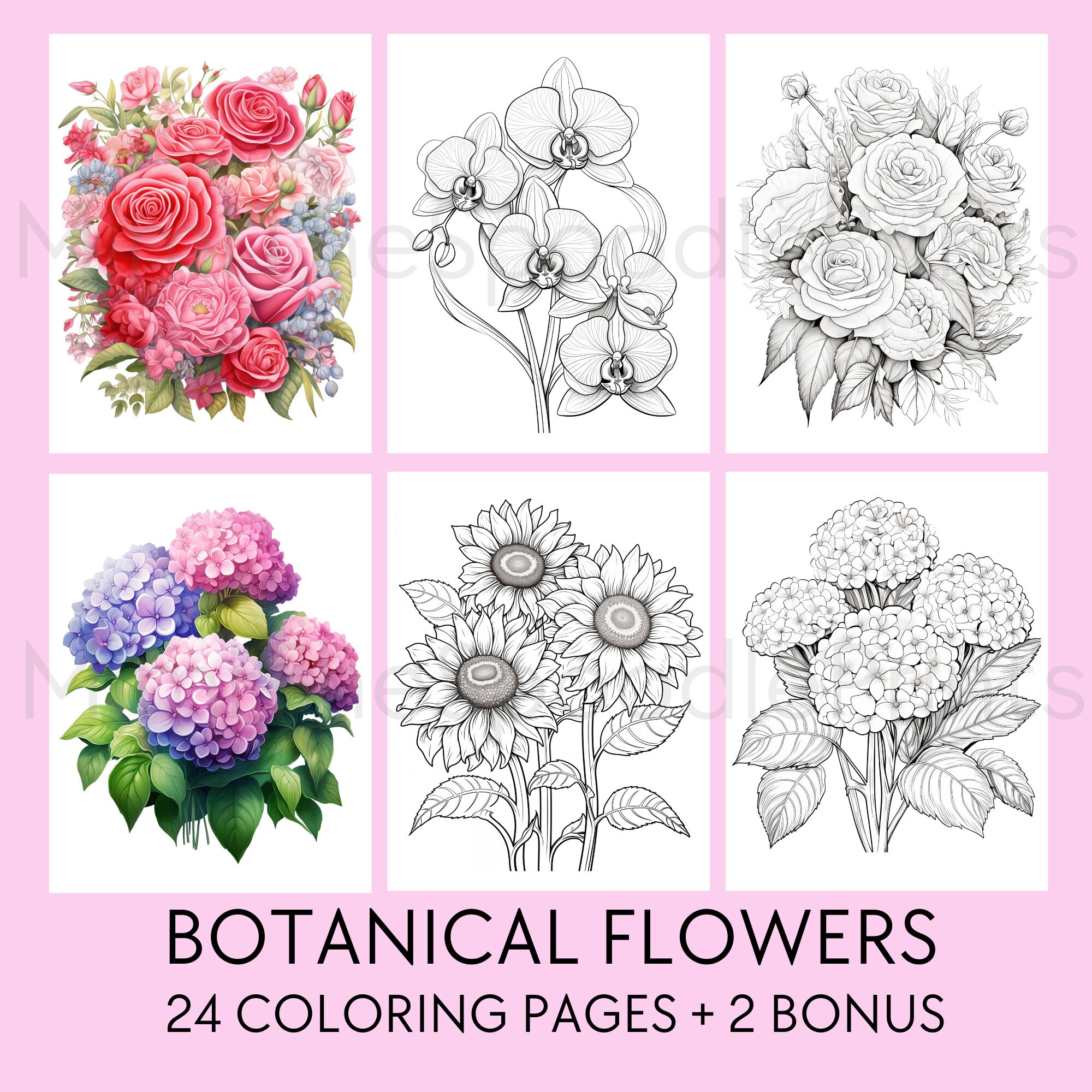 24 Botanical Flowers Coloring Pages, for Adults, Printable Coloring ...