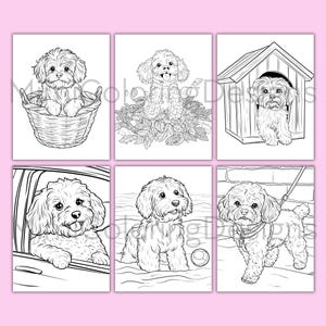 32 Cavoodle Coloring Pages for Adults and Kids, Printable Coloring Book ...