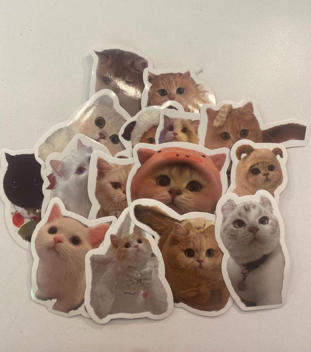 Cute Cats Sticker Pack!!! - Etsy