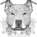 50 Animal Mandala Stress Relief Coloring Pages for Adults,printable ...