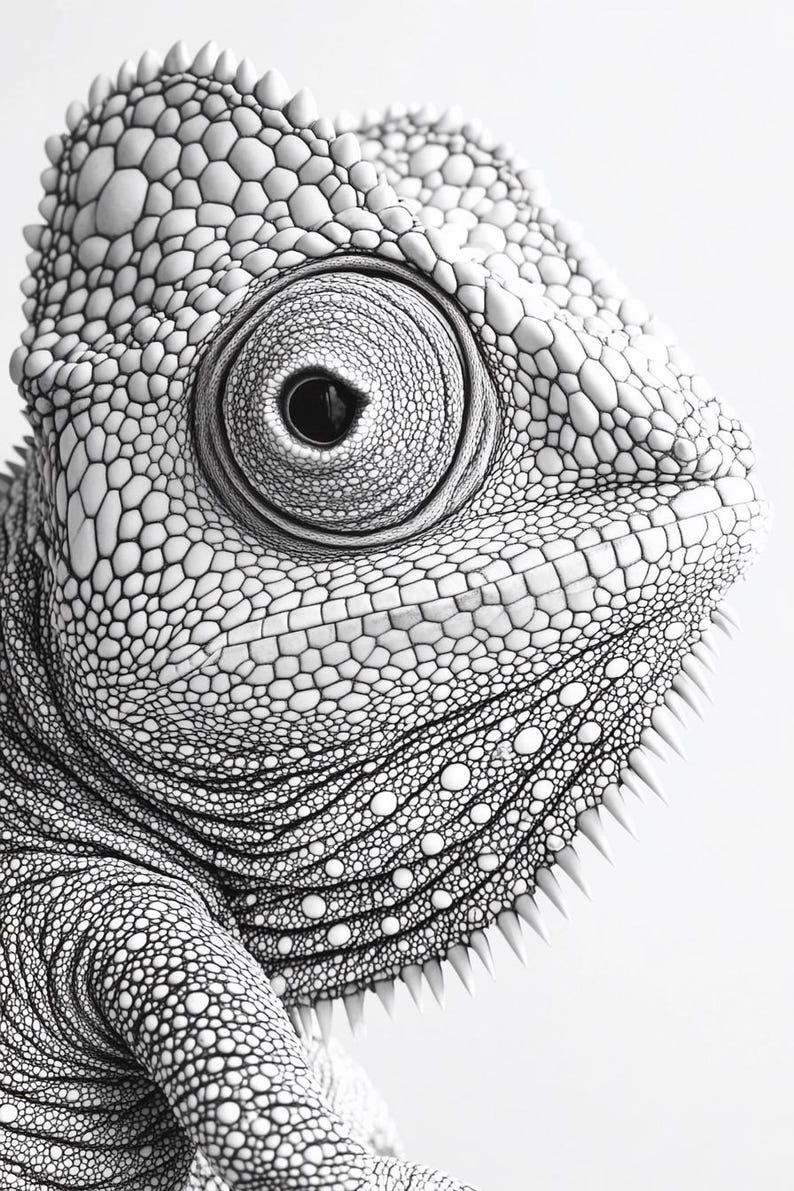 40 Cameleon Coloring Pages for Adults,chameleon Coloring Book ...