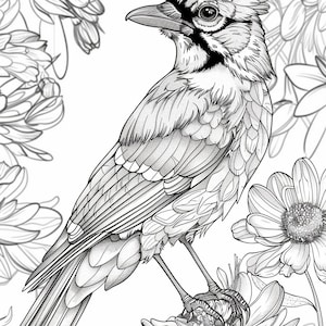 35 Beautiful Birds Coloring Pages, Parrot Coloring Pages, Digital ...