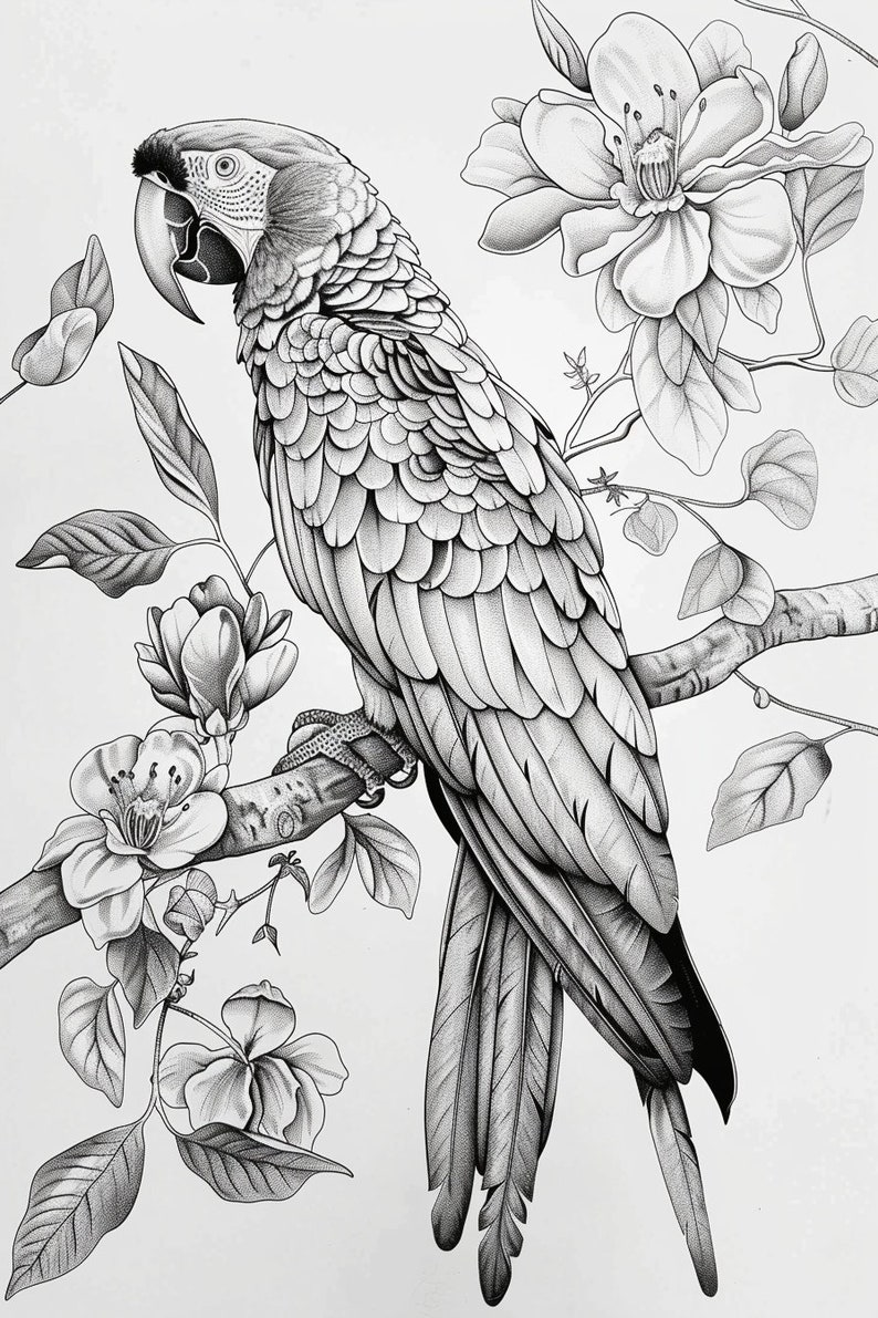 35 Beautiful Birds Coloring Pages, Parrot Coloring Pages, Digital ...