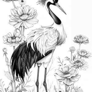 35 Beautiful Birds Coloring Pages, Parrot Coloring Pages, Digital ...