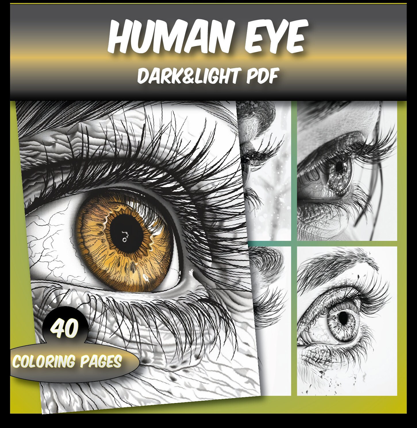Human Eye Coloring Pages