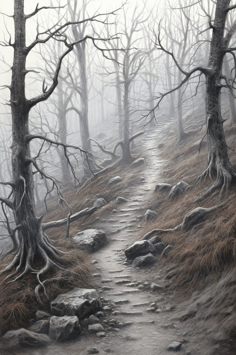 50 Magical Paths Coloring Pages ,greyscale Coloring Pages for Adults ...