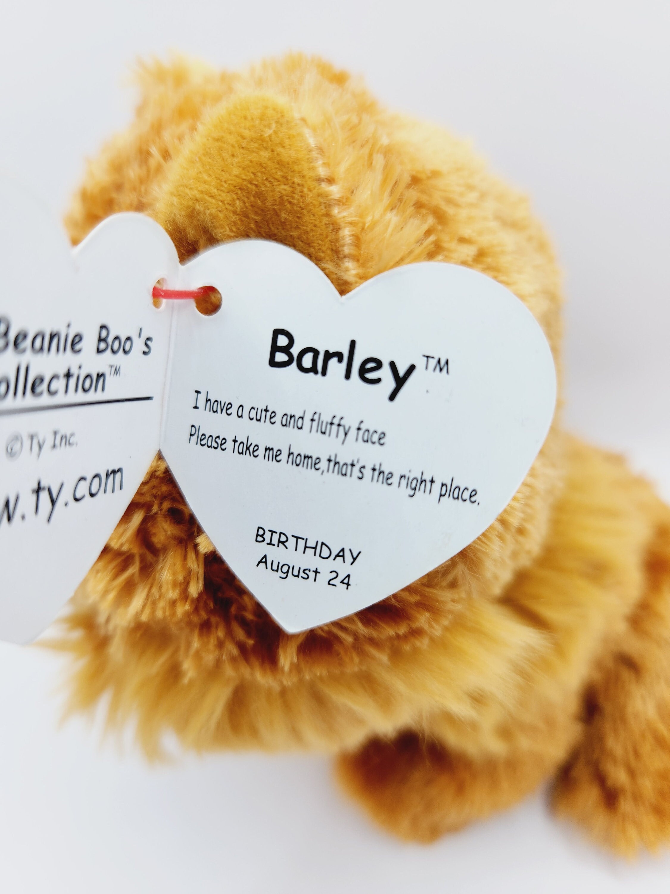Ty Beanie Boo 'barley' the Chow Chow Dog 6 Inch - Etsy