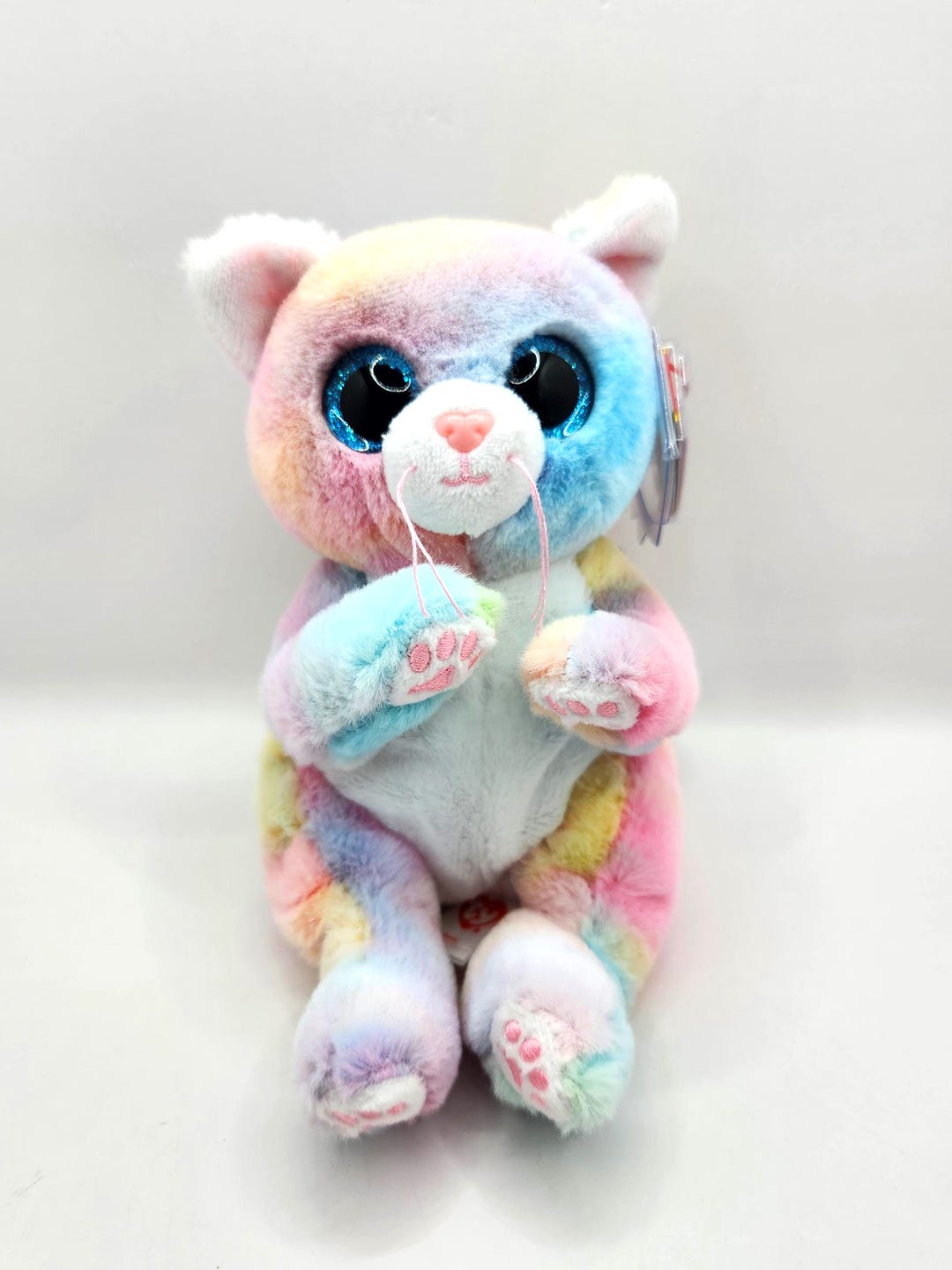 Vintage Ty Beanie Bellies Collection "jenni" the Rainbow Cat (6 Inch ...