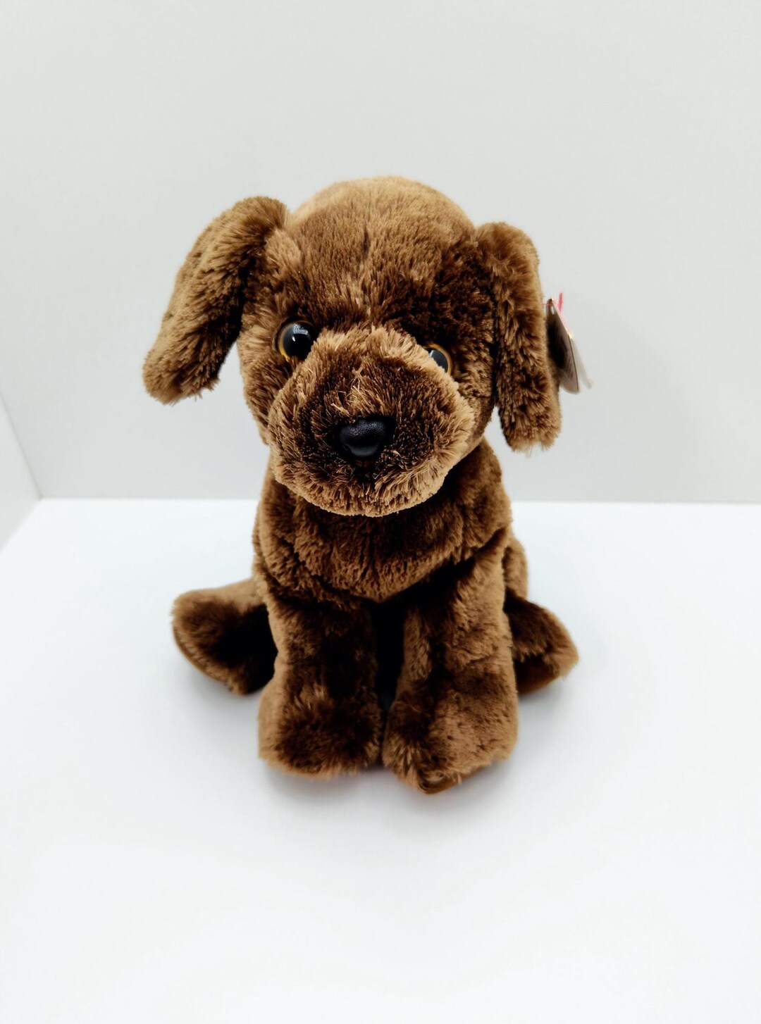 Ty Classic Collection "harley" the Chocolate Labrador Dog (12 Inch ...