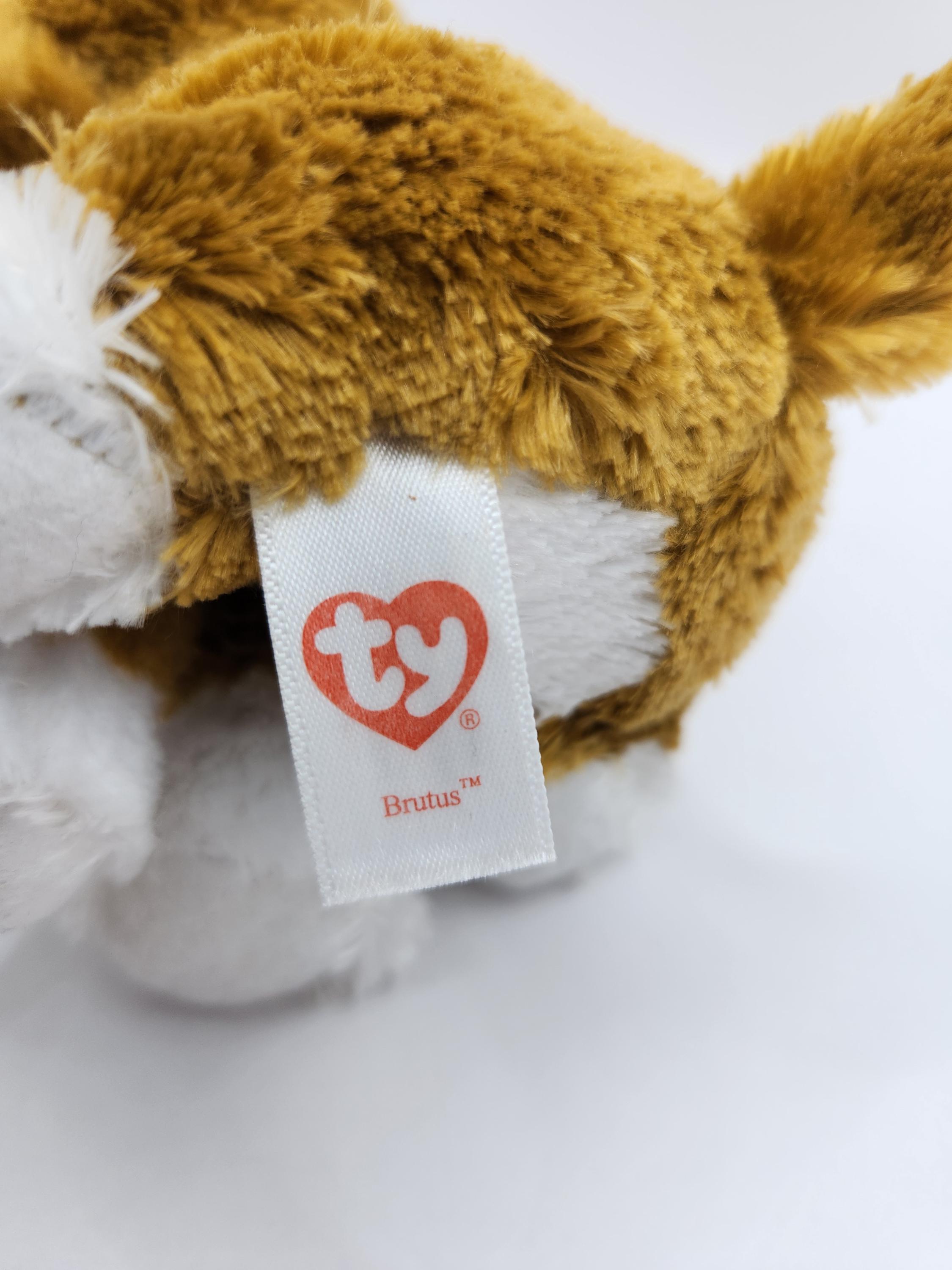 Ty Beanie Boo 'brutus' the Boxer Dog (6 Inch) - No Hang Tag - Etsy