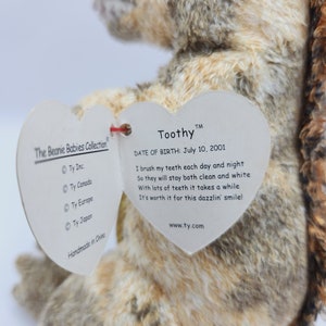 Vintage Ty Beanie Baby 'toothy' the Tyrannosaurus Dinosaur (7 Inch) - Etsy