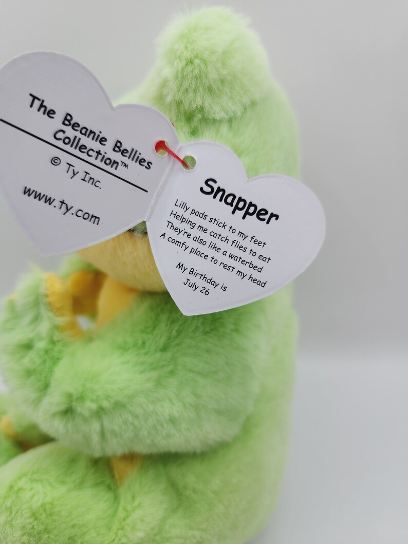 Ty Beanie Bellies Collection 'snapper' the Frog (6 Inch) - Etsy