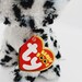 Vintage Ty Beanie Boo 'violet' the White Leopard (6 Inch) - Claire's ...