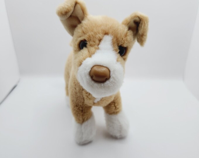 Douglas Plush 'piper' the Pitt Bull (8 Inch) - Etsy