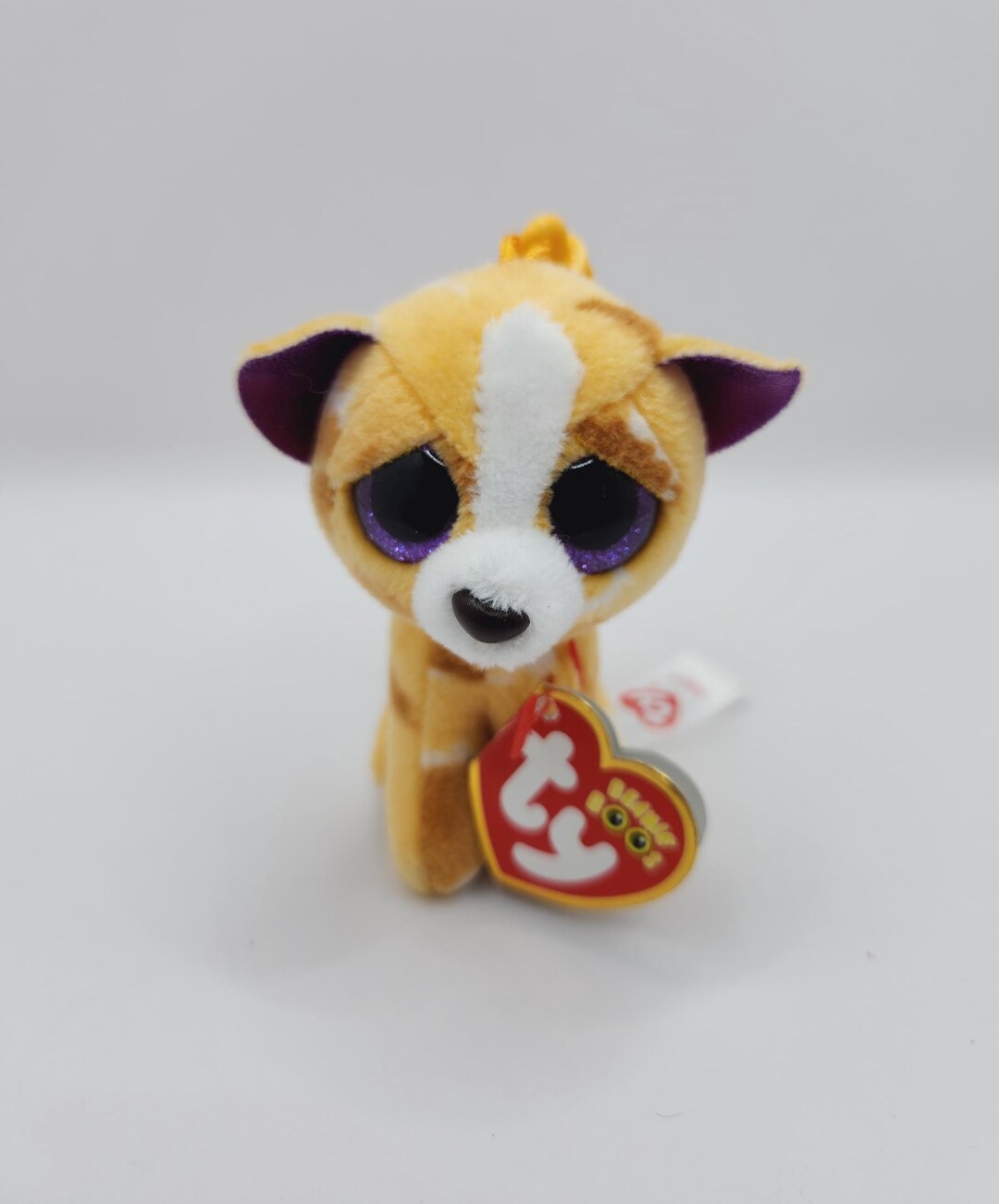 Vintage Ty Beanie Boo pablo the Chihuahua Dog Key Clip 4 Inch - Etsy