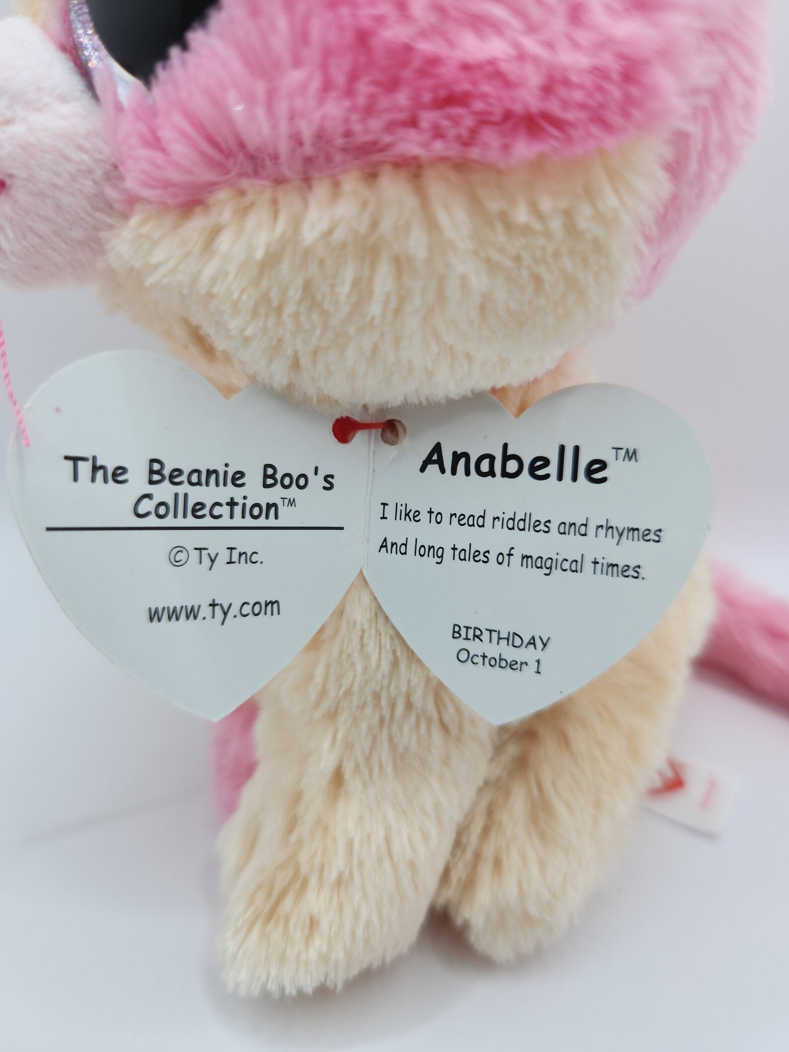 Ty Beanie Boo 'anabelle' the Cat - (6 Inch) - Barnes & Noble Exclusive ...