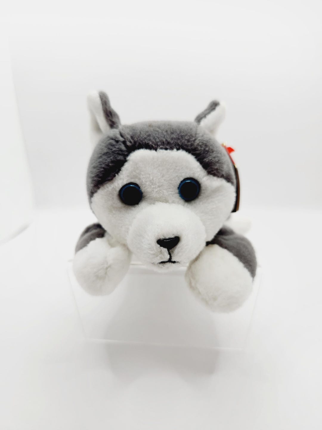 Vintage Ty Beanie Baby "nanook" the Husky Dog (8 Inch) - Creased Hang ...