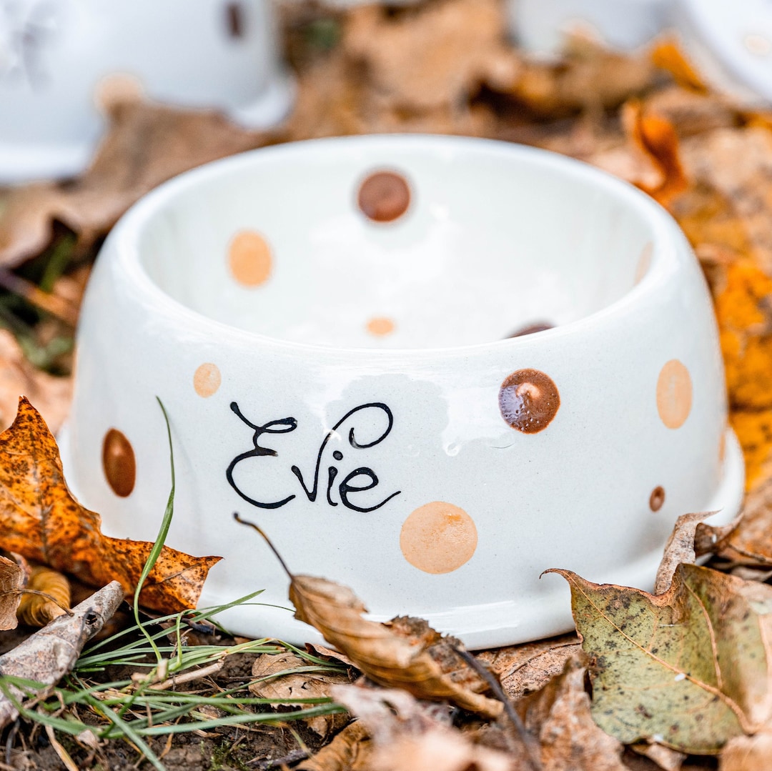 Custom Dog Bowl With Name - Hand Painted Ceramic Pet Dish ...