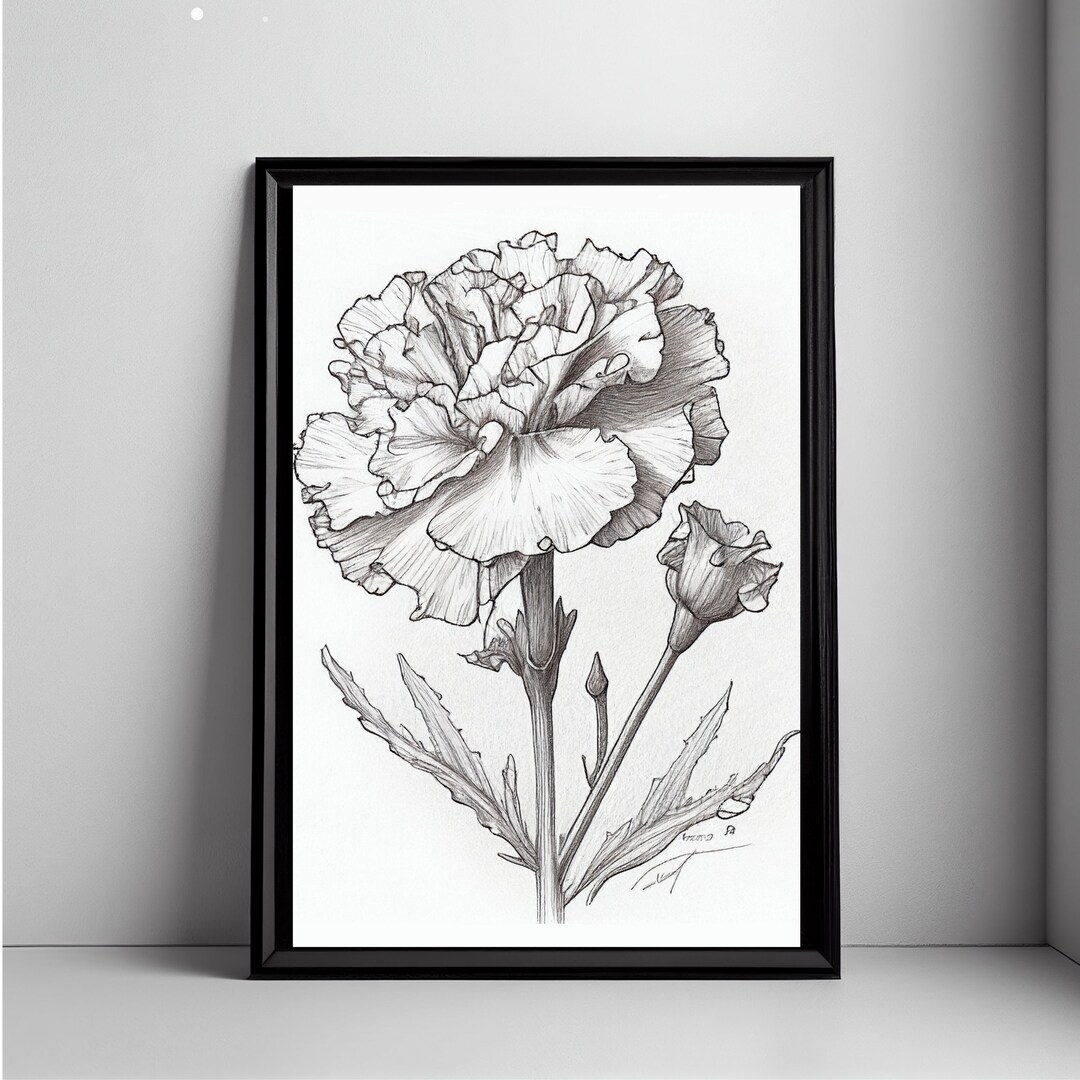 Carnation Line Wall Art Print, Carnation Digital Download, Carnation ...