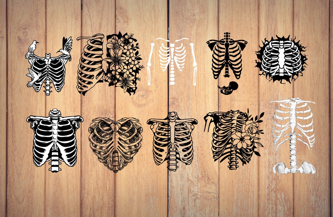 10 X Skeleton Rib Cage PNG SVG Bundle Skeleton Rib Png Skeleton Rib ...