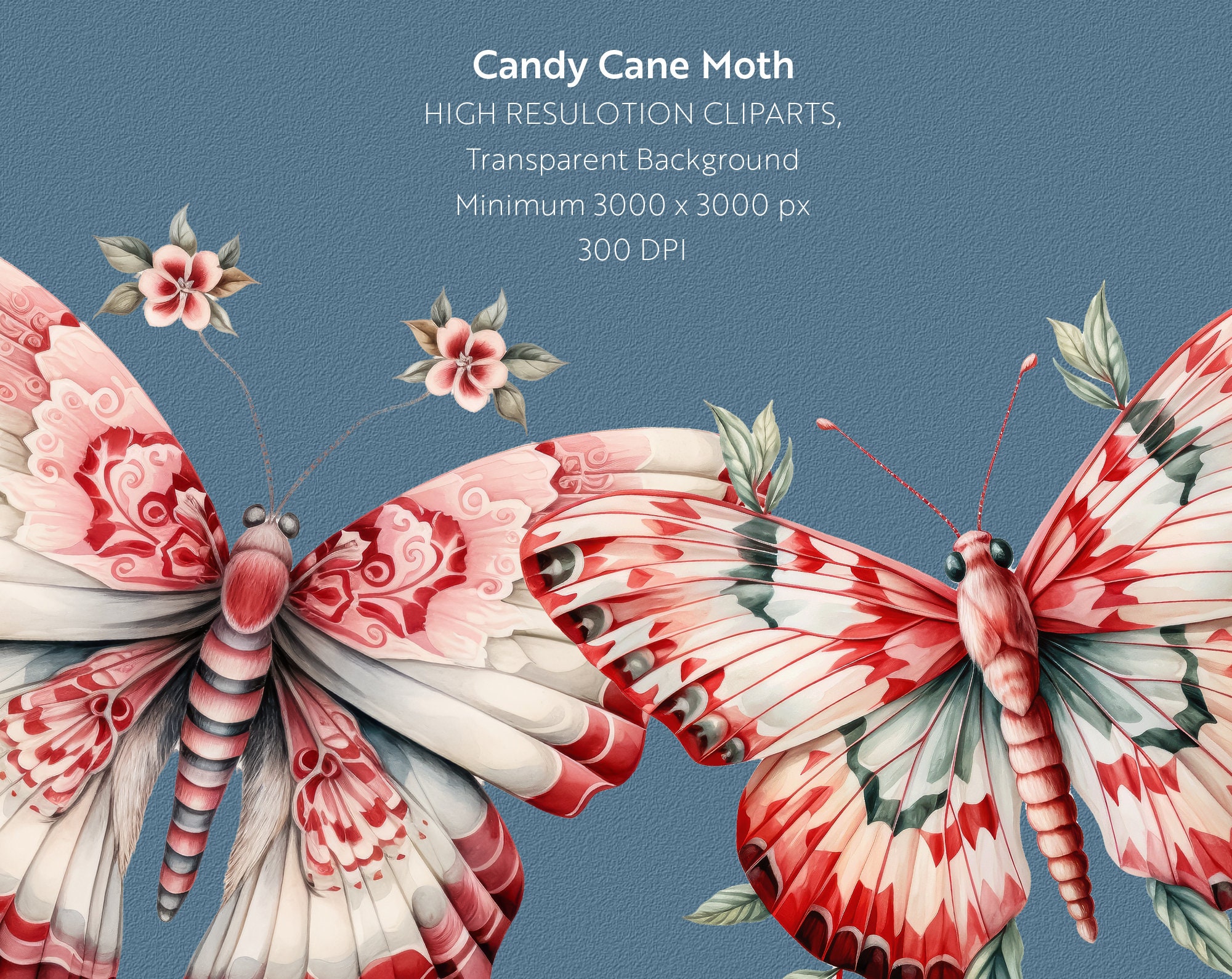 30 Candy Cane Moth Clipart, Christmas Candy Color, Christmas Clipart ...