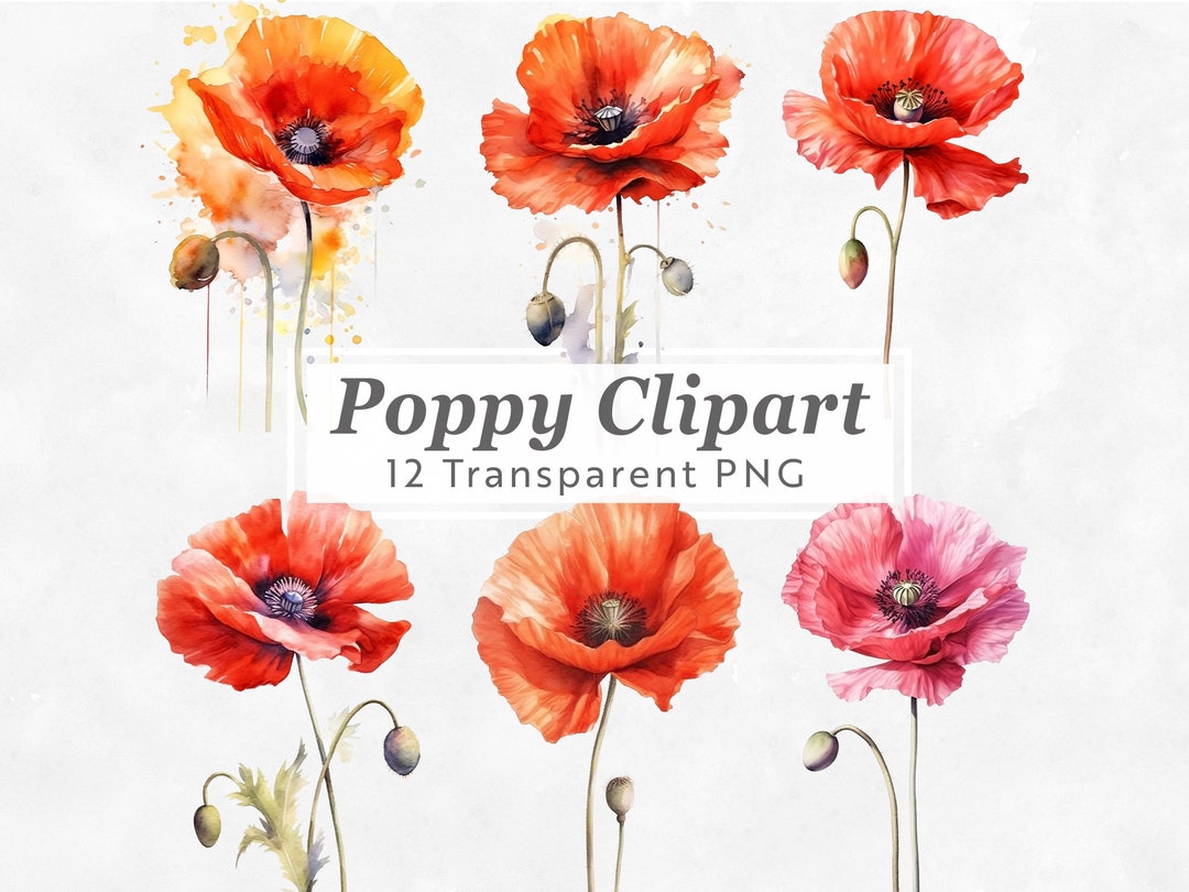 Poppy Birthflower Clipart Floral Designs for Creative - Etsy