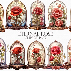 Eternal Rose Clipart Instant Download, Transparent Floral Graphic ...