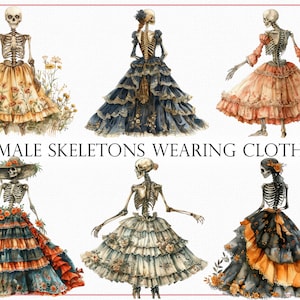 40 Female Skeletons in Stylish Clothes PNG - Halloween Clipart ...