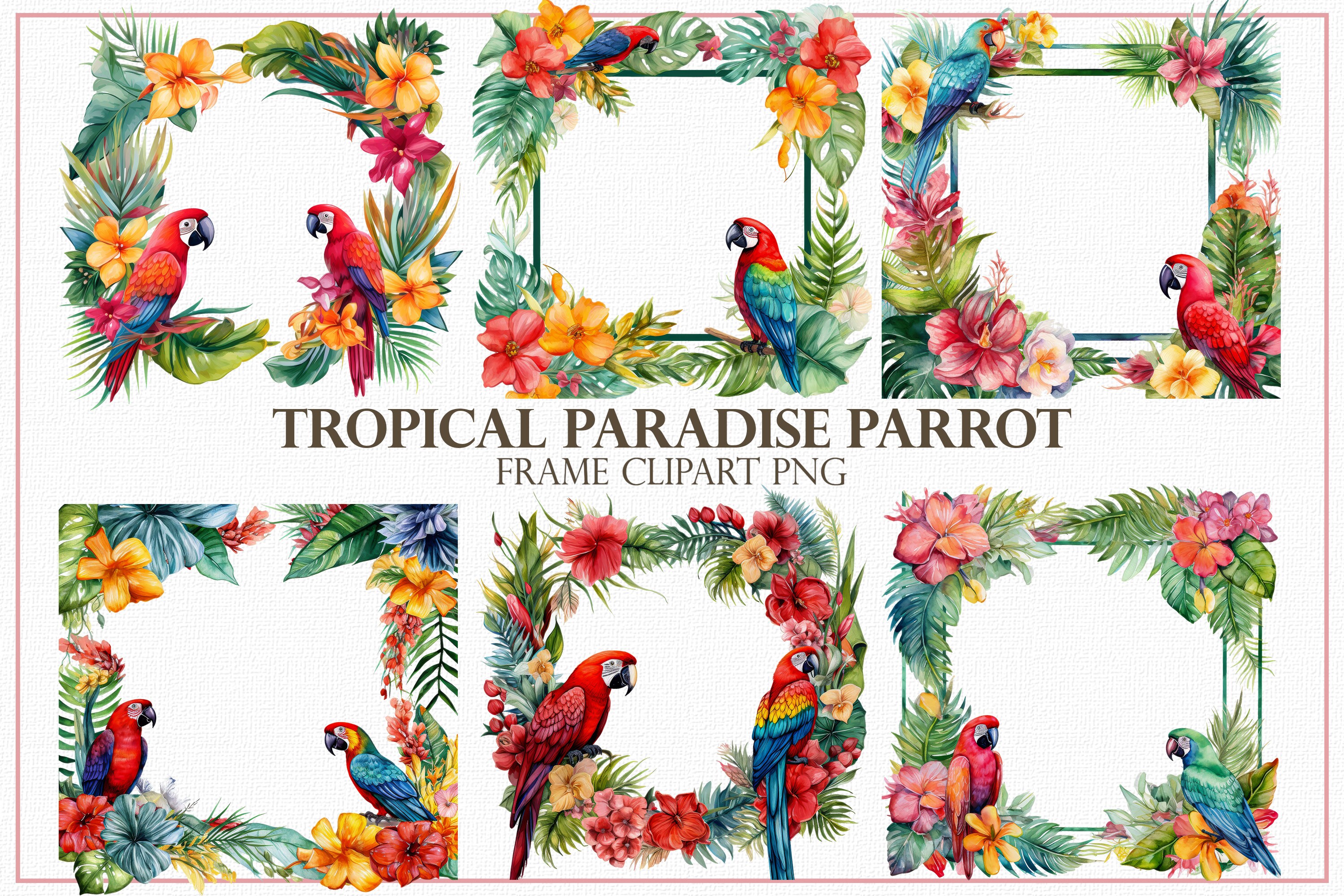 Tropical Paradise Parrot Frames 26 Exotic Floral PNG Designs for Crafts ...