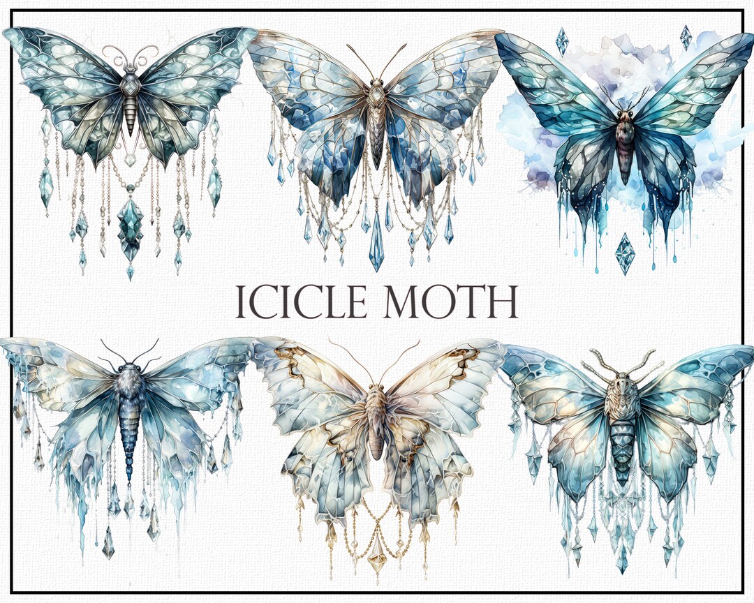 19 Icicle Moth Clipart, Frozen Winter Insect Graphics, Ethereal Ice ...