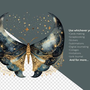 Moth and Moon Clipart Set - 21 Celestial Moth Illustrations, Moon Moth ...
