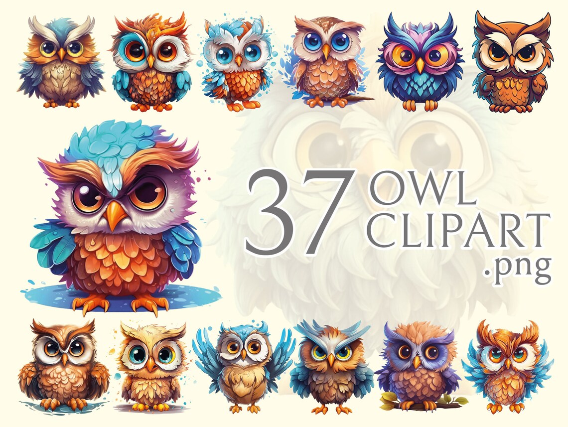 Owl Clipart Bundle Digital Owl Art Transparent Background - Etsy