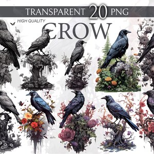 Digital Printable Crow - High-resolution Transparent PNG - Digital ...