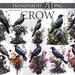 Digital Printable Crow - High-resolution Transparent PNG - Digital ...