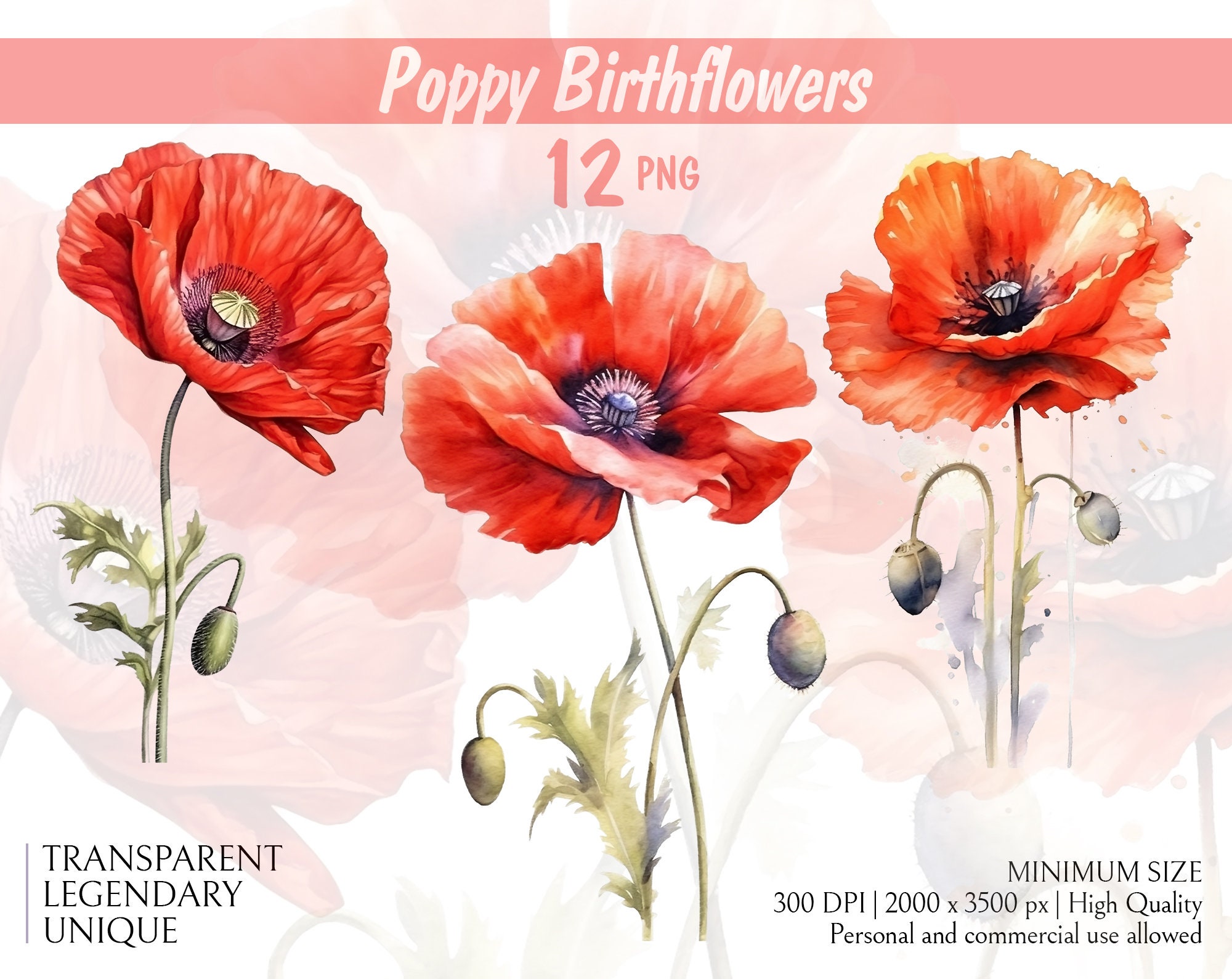 Poppy Birthflower Clipart Floral Designs for Creative - Etsy